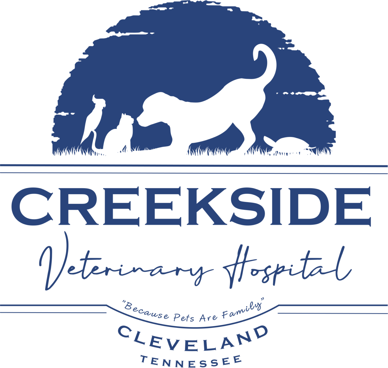 Best Vet In Cleveland, TN | Creekside Veterinary Hospital